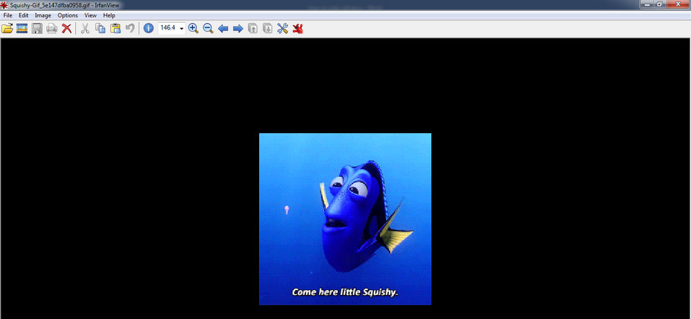 How To Play GIFs On Windows Mac Android Or IPhone
