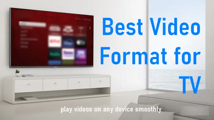 The Best Video Format for TVs (LG/Samsung/Sony/TCL…)