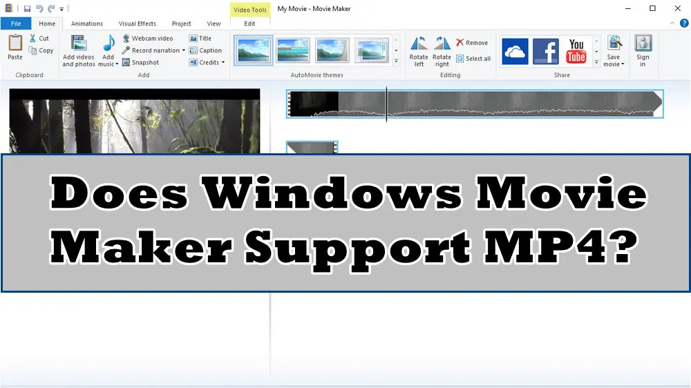 Does Windows Movie Maker Support MP4? Everything Answered!