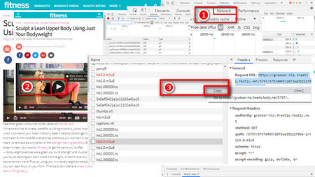 2 Workable Methods to Download TS Videos
