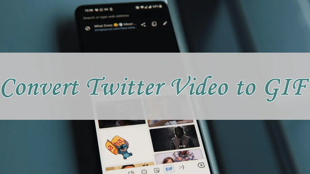 How to Download and Convert Twitter Video to GIF on PC/Online?