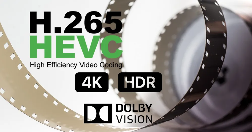 DVHE/DVH1 Codec Error: How to Play Dolby Vision HEVC Files on Windows ...