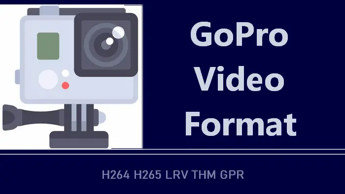 What Is the GoPro Video Format?