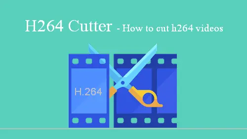 H264 Cutter - How to Trim H.264 Video Easily?