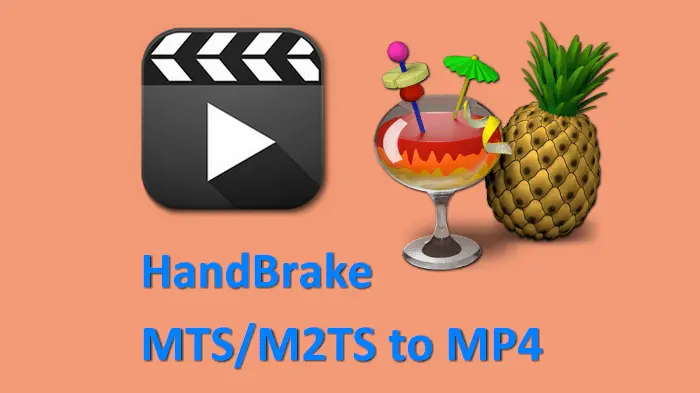 How to Convert MTS or M2TS Files with HandBrake?