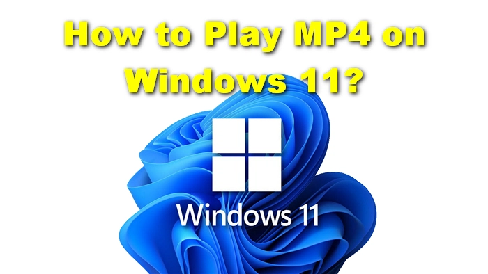 How to Play MP4 on Windows 11 Error-free?