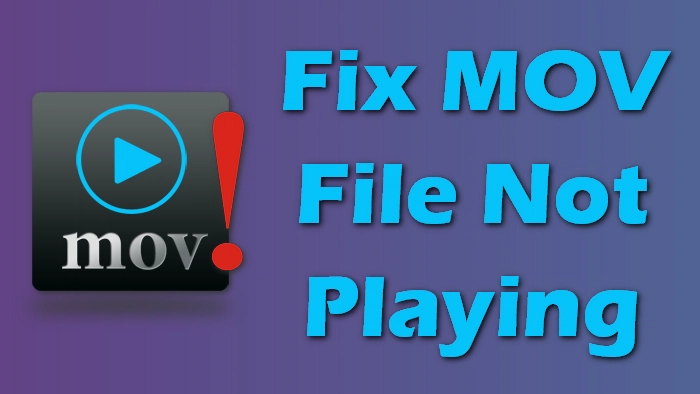 8 Quick Fixes for MOV File Not Playing on Windows & Mac [2024 Updated]
