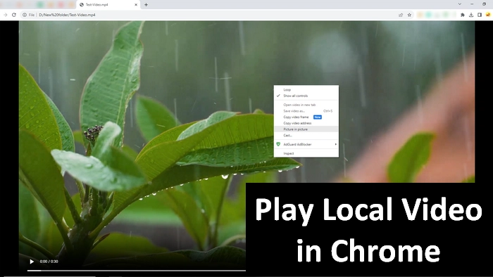 How to Play Videos in Chrome Browser
