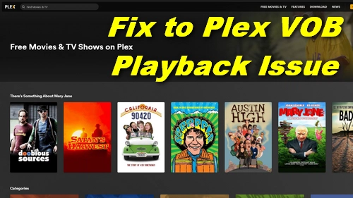 How to Solve Plex VOB Playback Issue Efficiently?