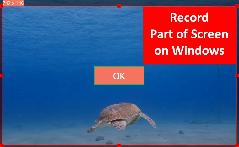 How to Record Only Part of Screen on Windows 10/11?