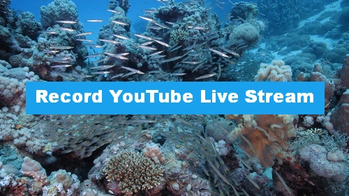 Step-by-step: Easily Record YouTube Live Stream on Windows PC