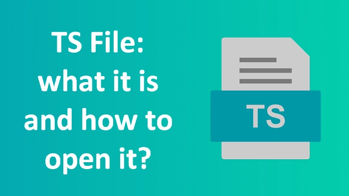 What is a TS File and How to Open It? What is a TS File and How to Open It?