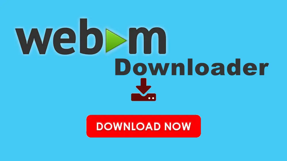 Best WebM Downloader for Windows (Batch Support & No Watermark)