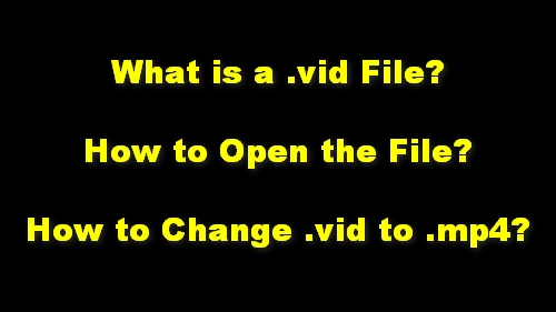 What is a .vid File and How to Open It?