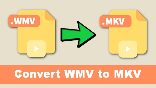 Easiest and Quickest Way to Convert WMV to MKV